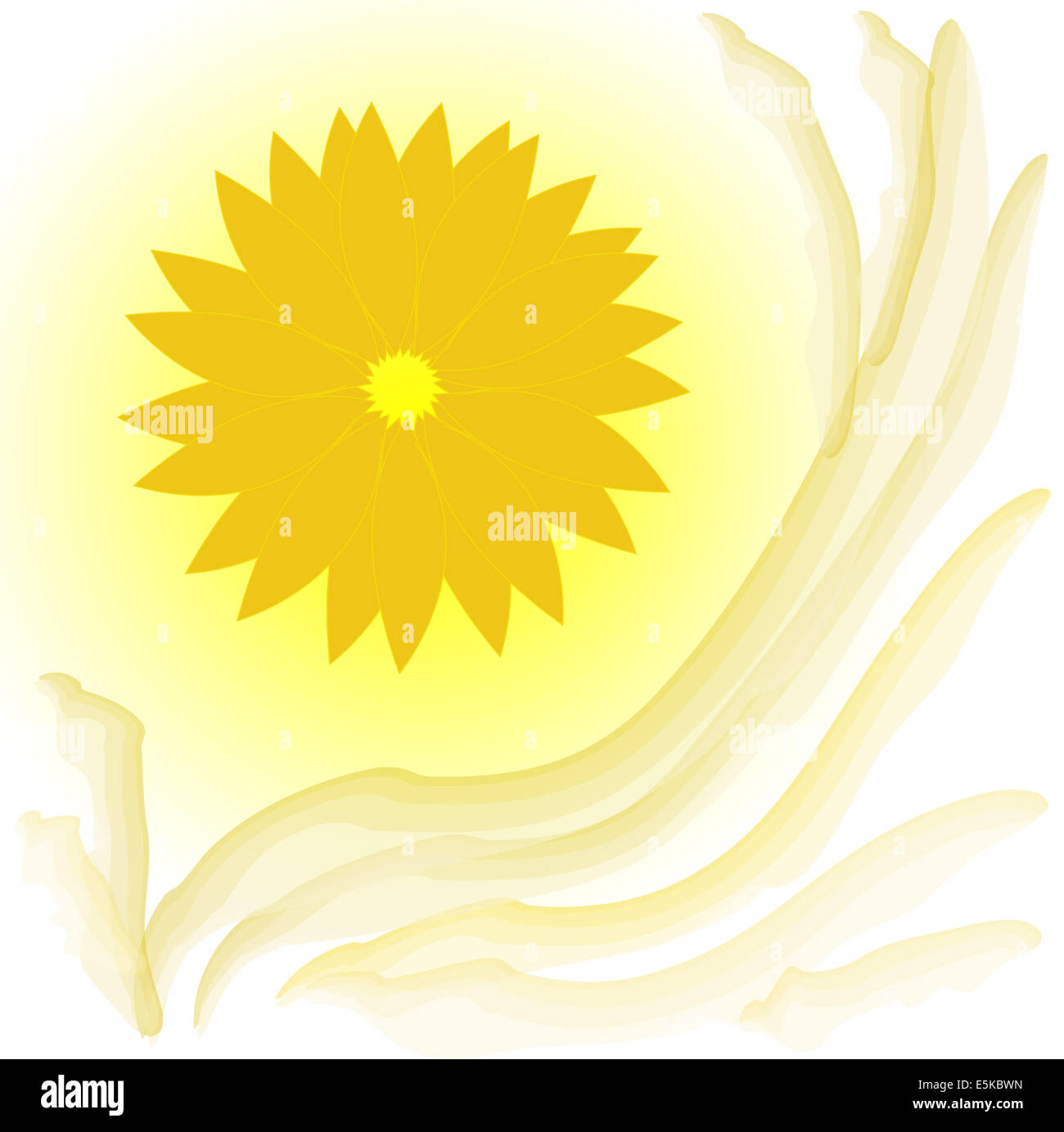 abstract yellow flower on a white background Stock Photo - Alamy