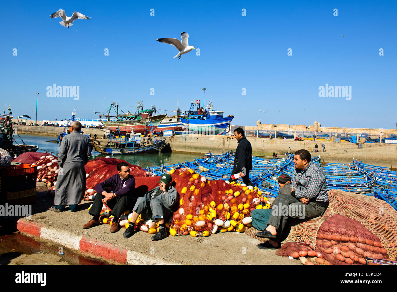 Very Busy Fishing Port,Atlantic Coast,some 250 Species,Fish Caught ...