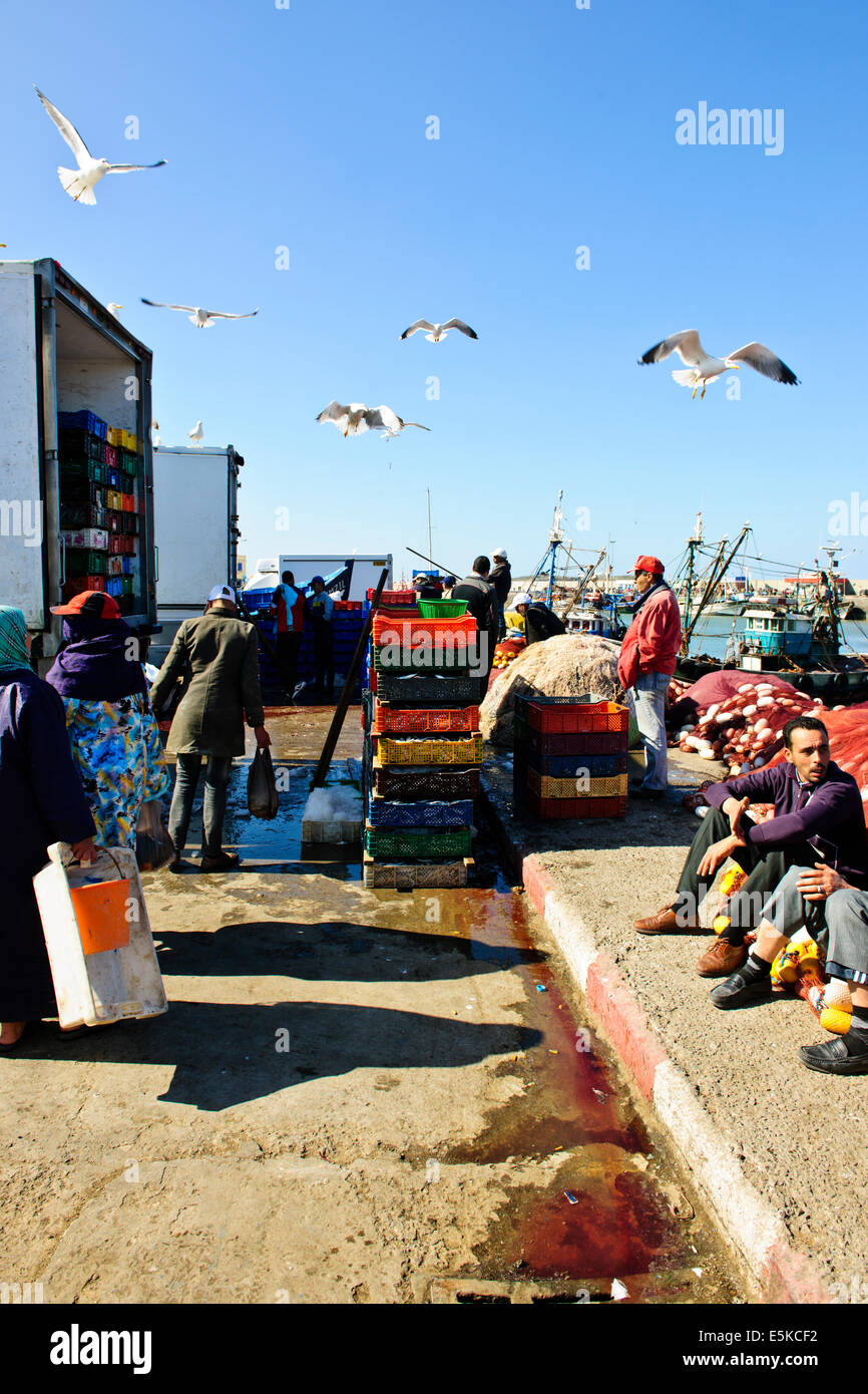 Very Busy Fishing Port,Atlantic Coast,some 250 Species,Fish Caught ...
