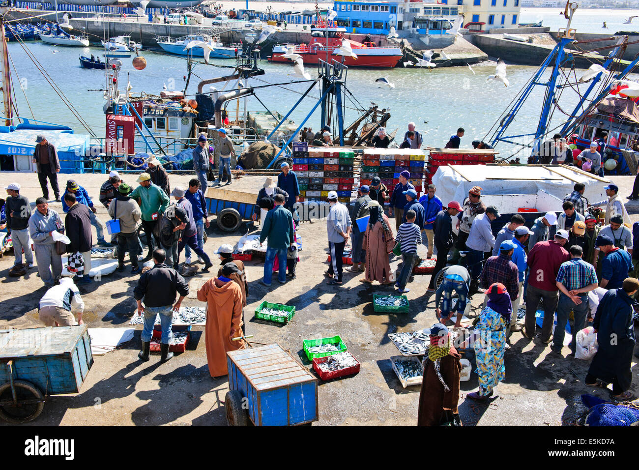 Very Busy Fishing Port,Atlantic Coast,some 250 Species,Fish Caught ...