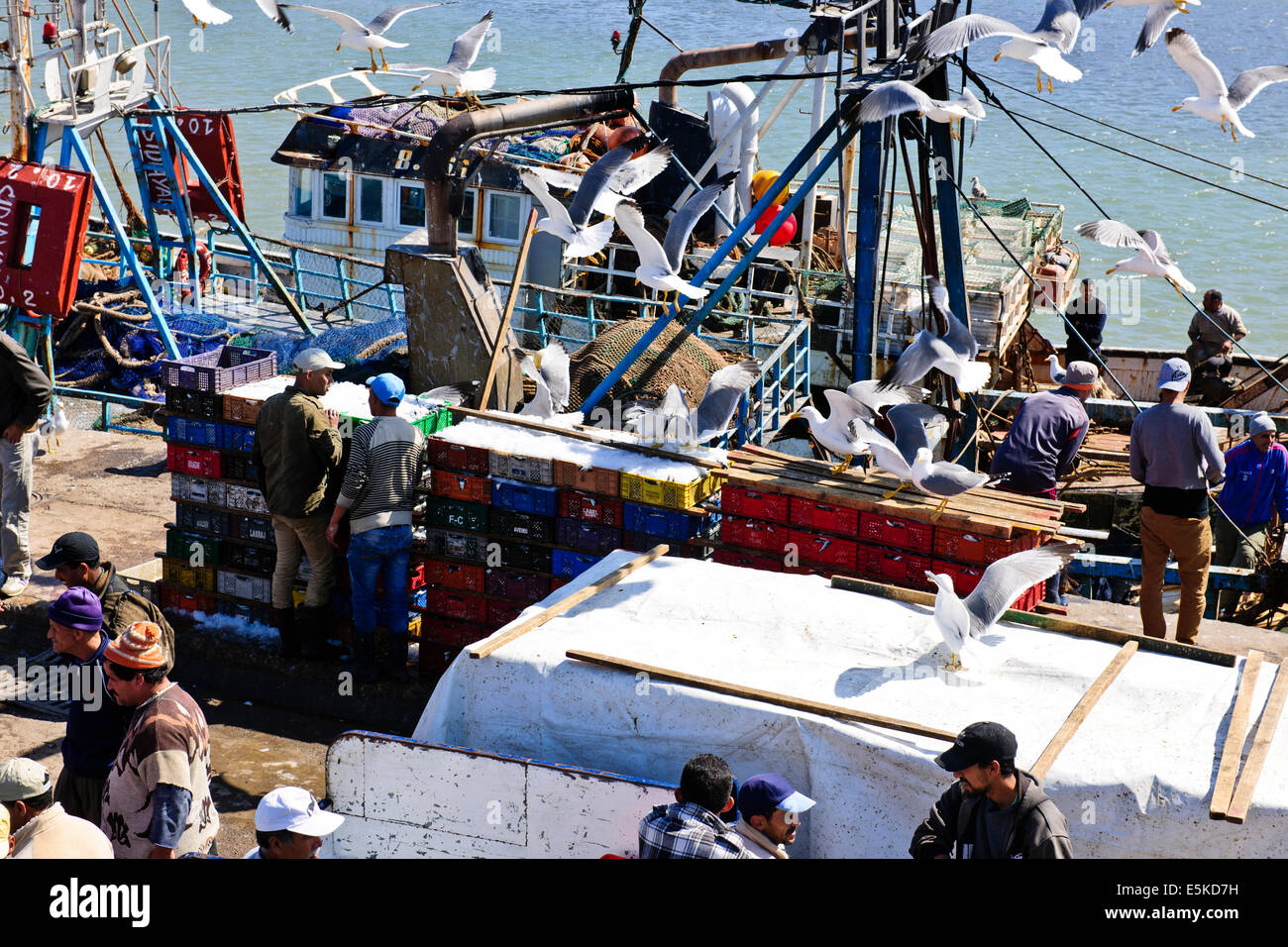 Very Busy Fishing Port,Atlantic Coast,some 250 Species,Fish Caught ...