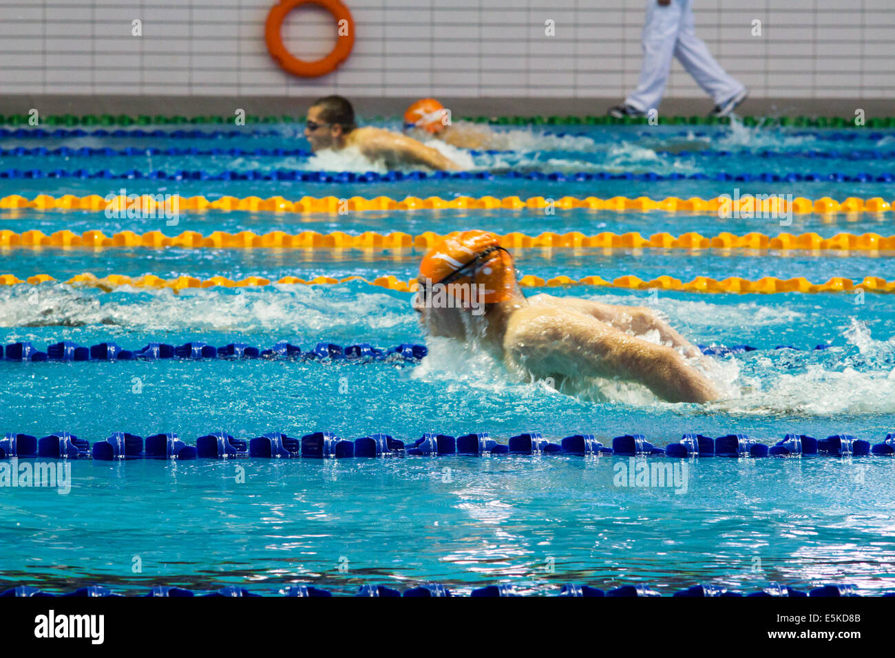 Wingate Institute , Israel - May 17 , 2014 : International swimming ...