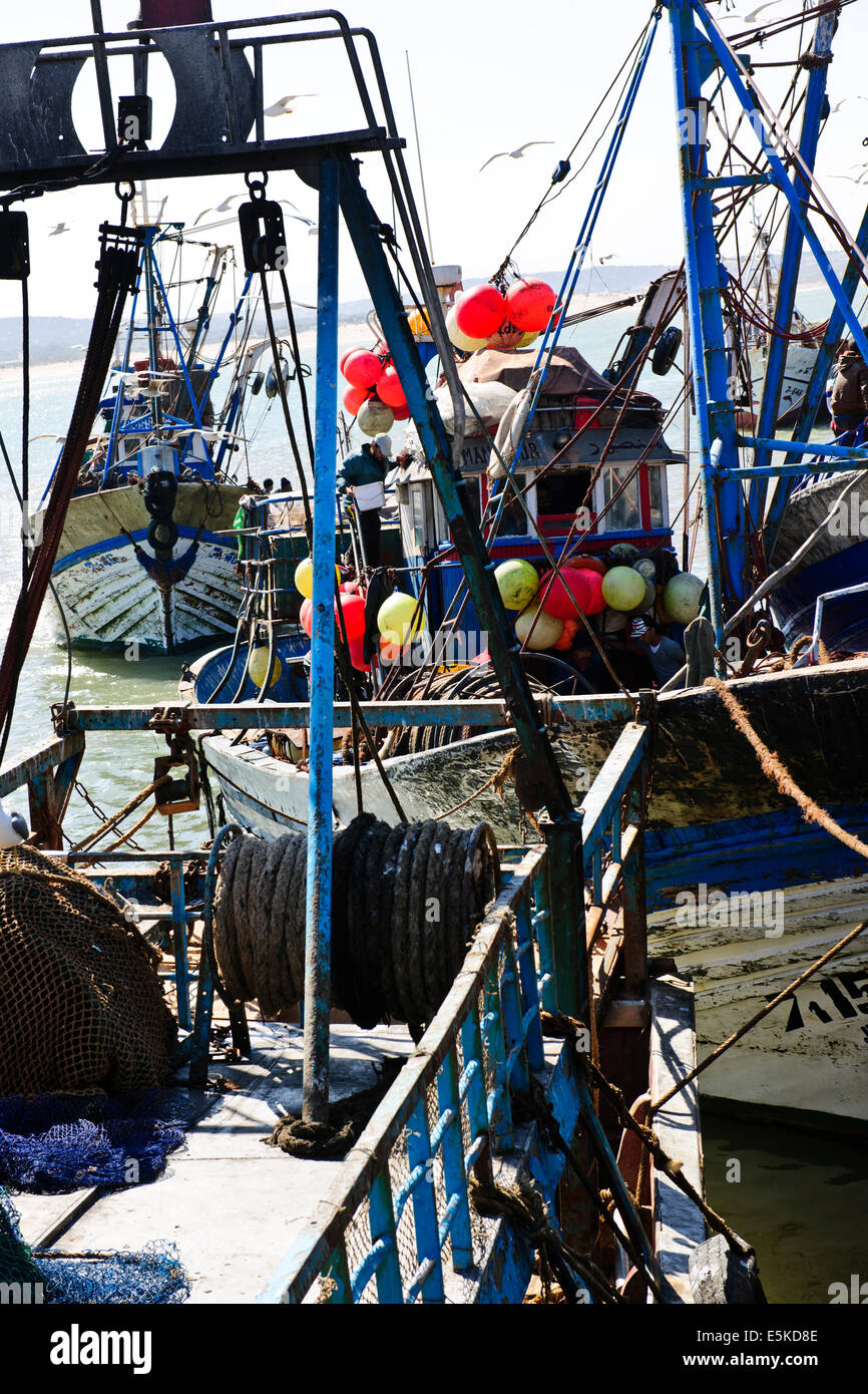 Very Busy Fishing Port,Atlantic Coast,some 250 Species,Fish Caught ...