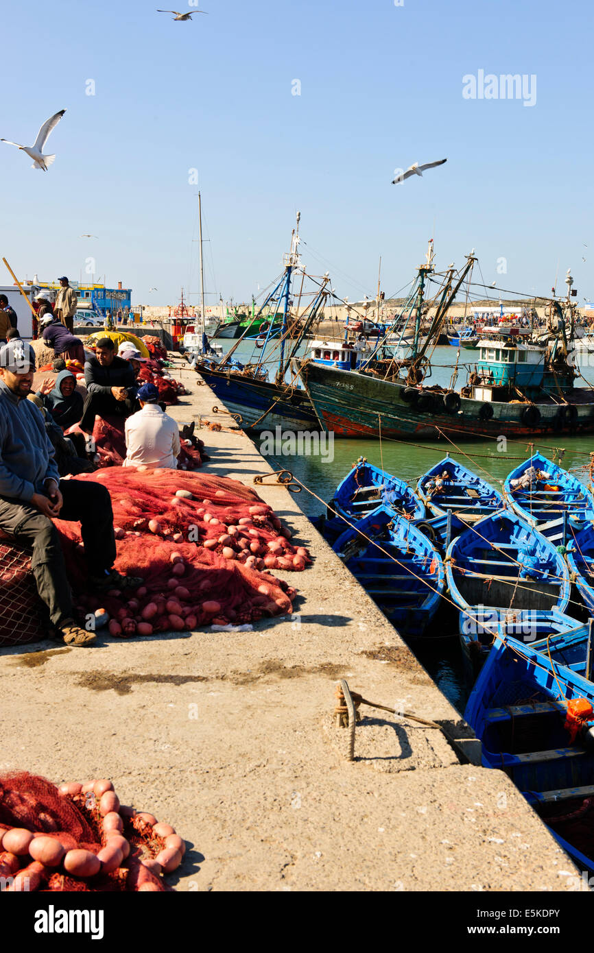 Very Busy Fishing Port,Atlantic Coast,some 250 Species,Fish Caught ...