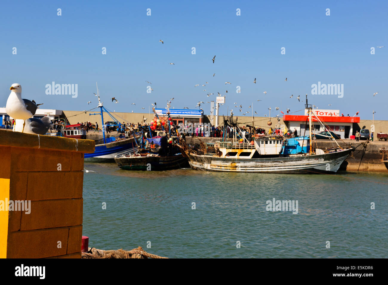 Very Busy Fishing Port,Atlantic Coast,some 250 Species,Fish Caught ...