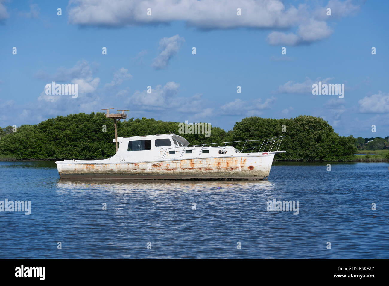 An old relic abandoned boat on the Gulf coast in the marsh at Cedar Key ...