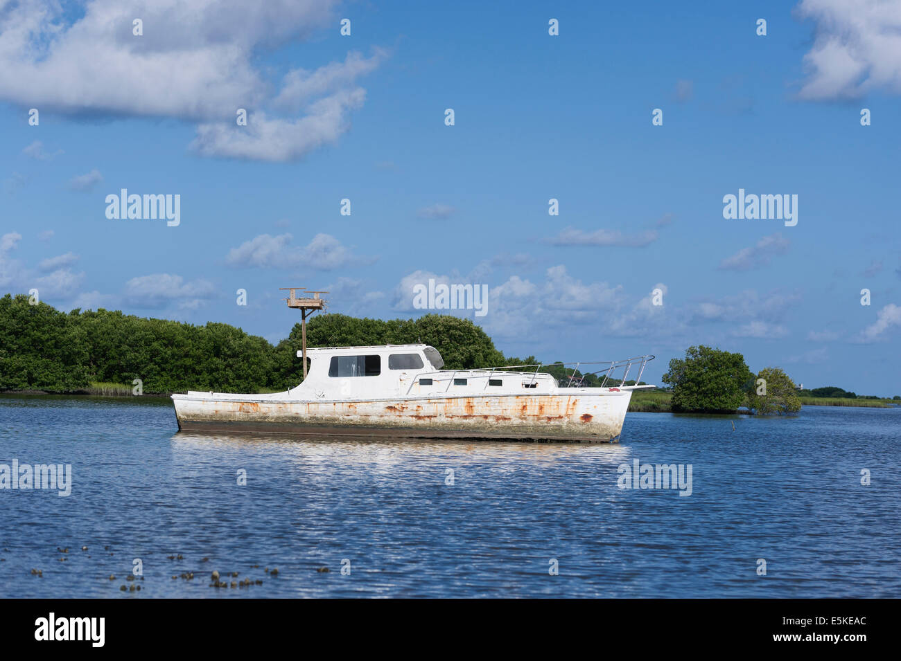 An old relic abandoned boat on the Gulf coast in the marsh at Cedar Key ...