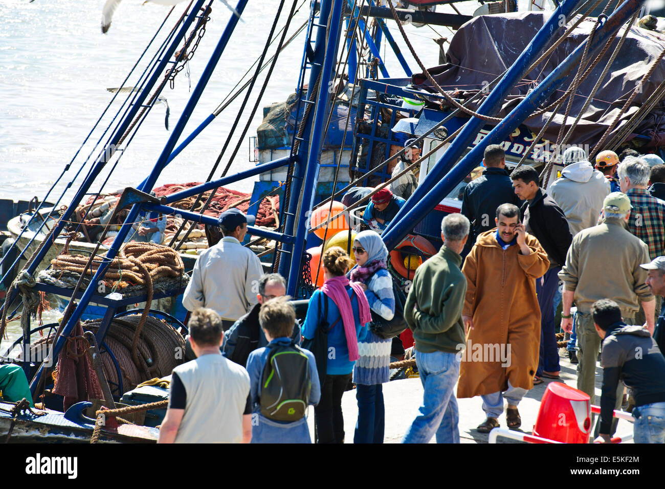 Very Busy Fishing Port,Atlantic Coast,some 250 Species,Fish Caught ...