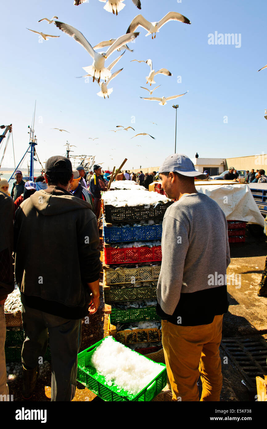 Very Busy Fishing Port,Atlantic Coast,some 250 Species,Fish Caught ...