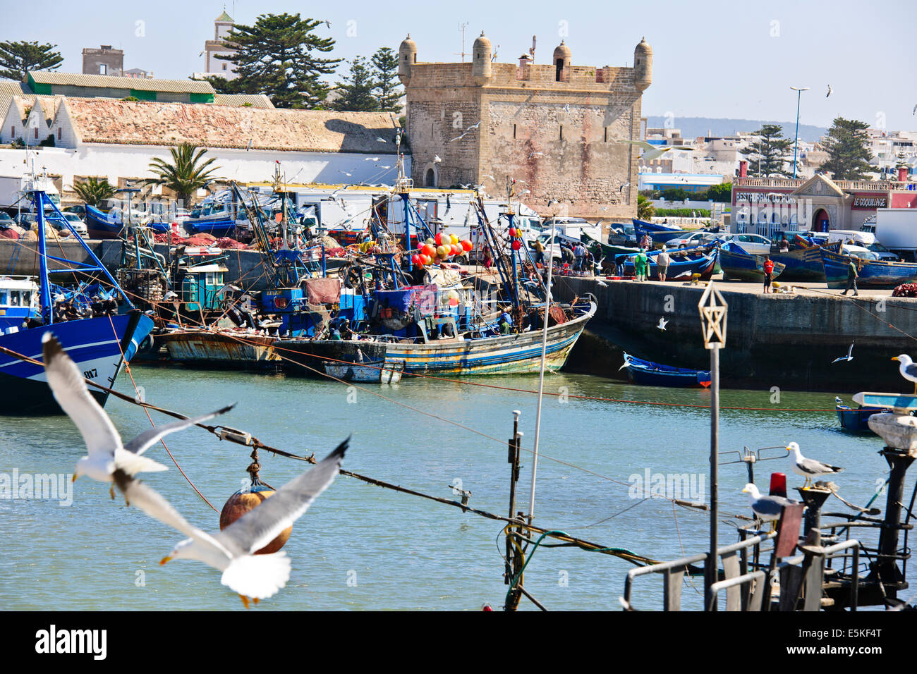 Very Busy Fishing Port,Atlantic Coast,some 250 Species,Fish Caught ...