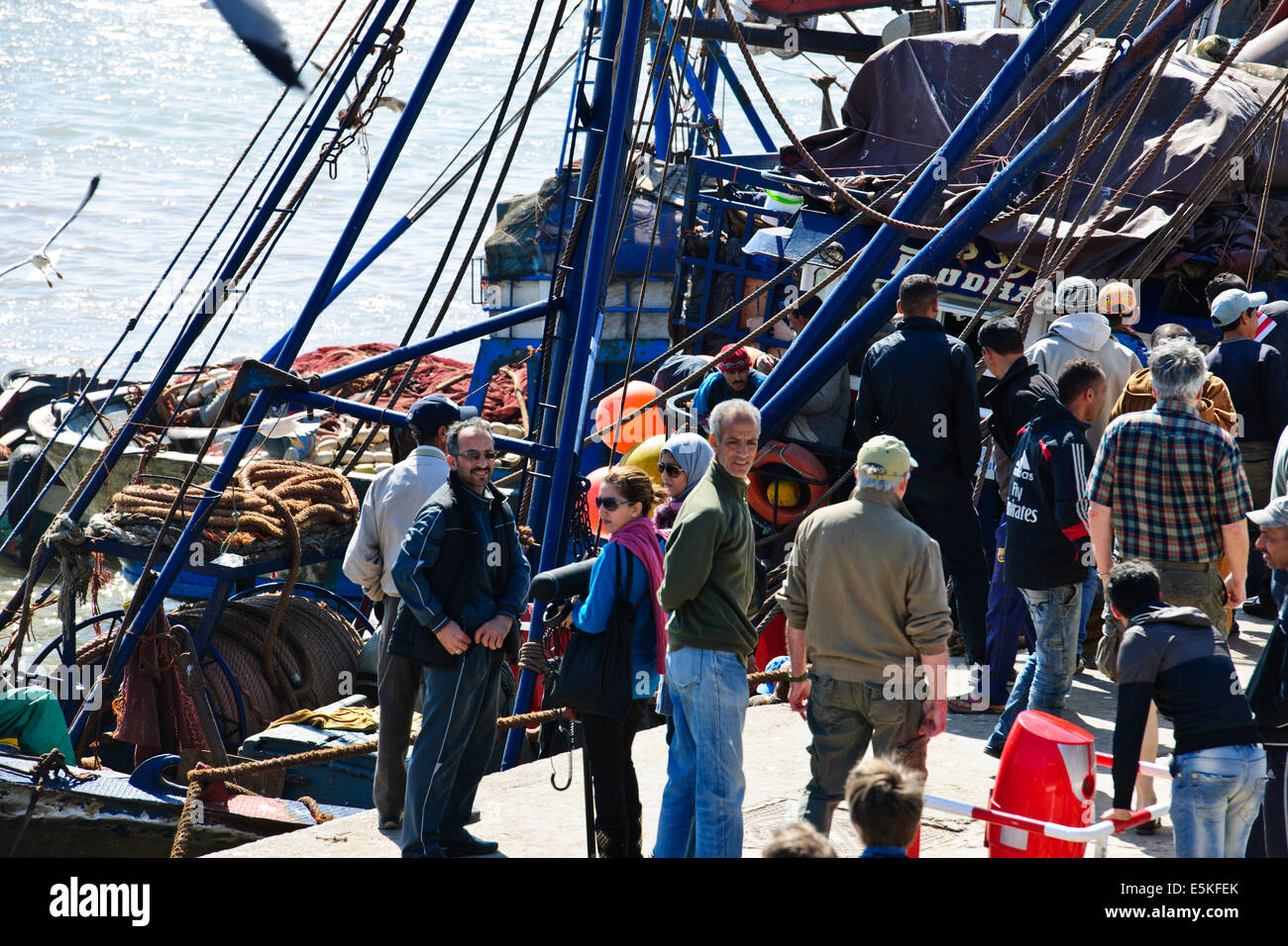 Very Busy Fishing Port,Atlantic Coast,some 250 Species,Fish Caught ...