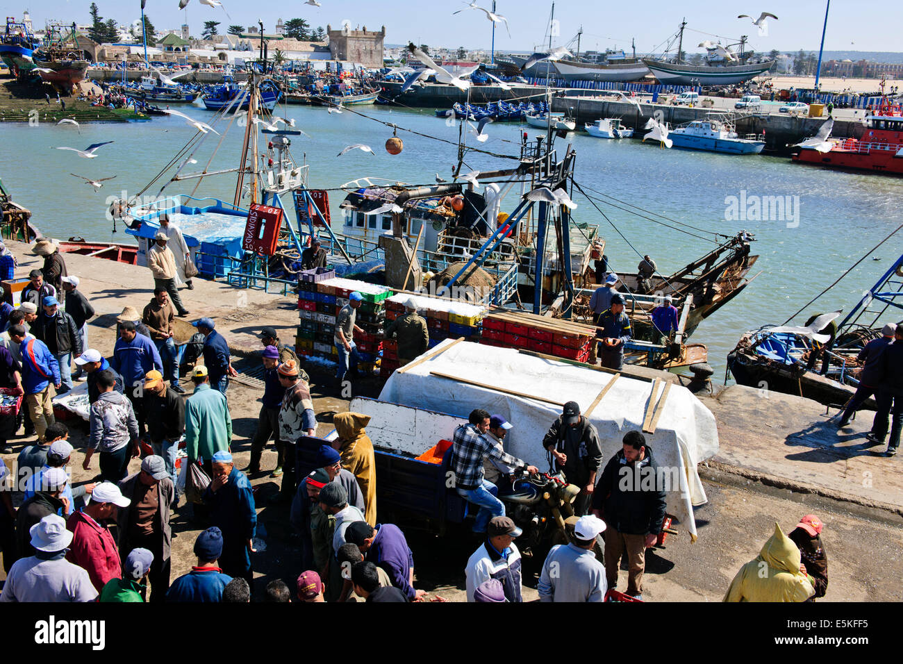 Very Busy Fishing Port,Atlantic Coast,some 250 Species,Fish Caught ...