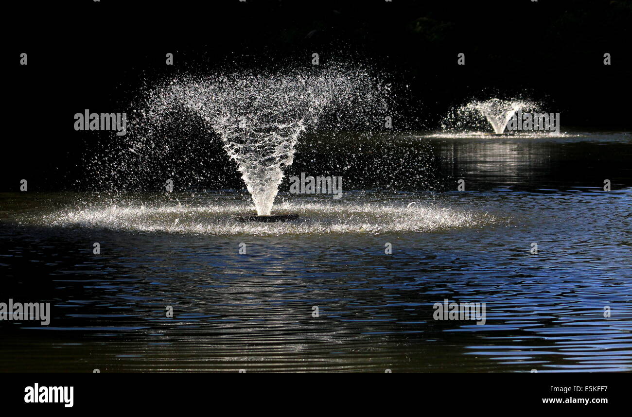 Fountain in Quarry Park, Shrewsbury Stock Photo - Alamy