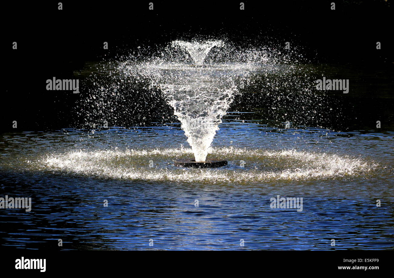 Fountain in Quarry Park, Shrewsbury Stock Photo - Alamy