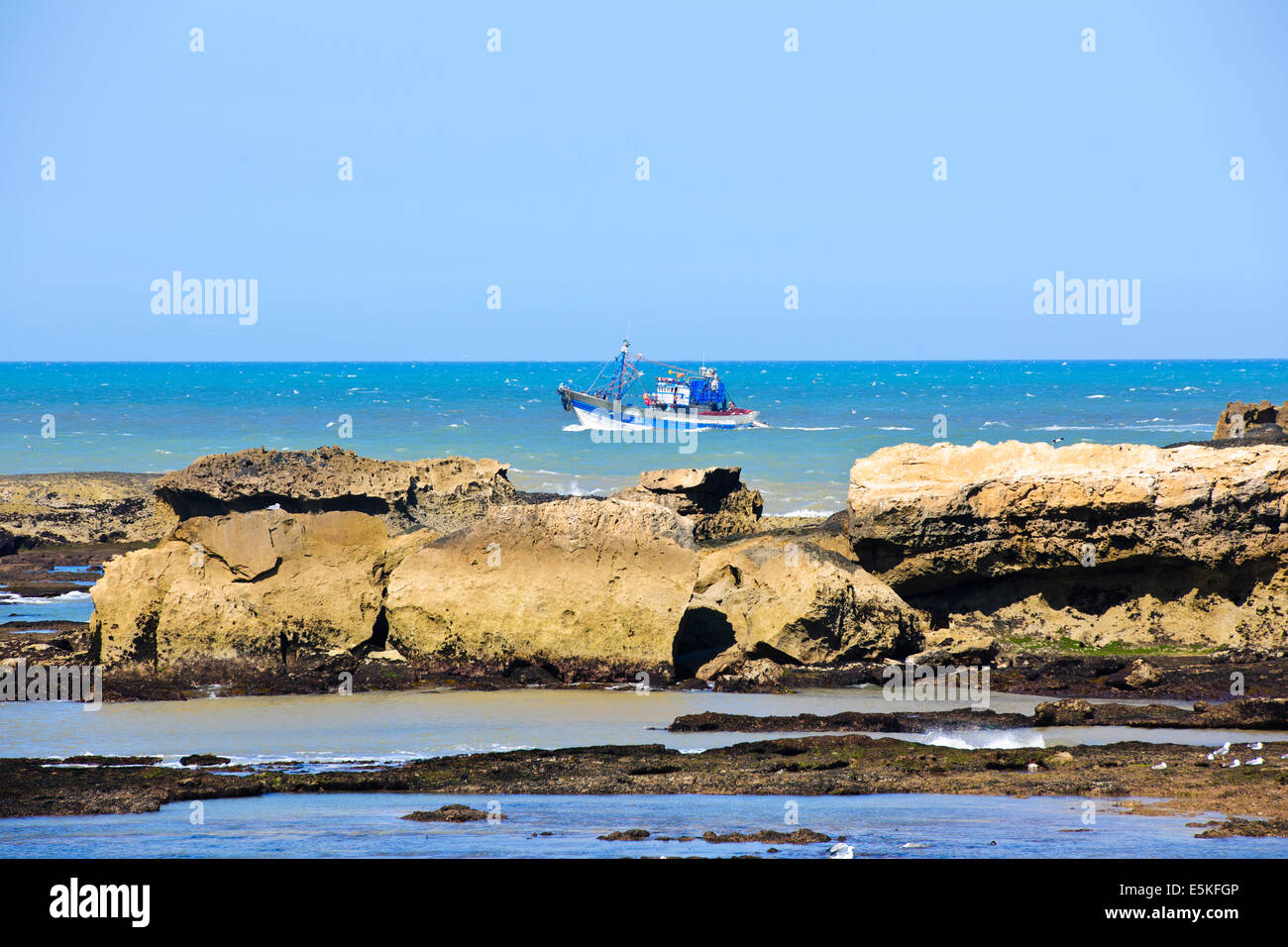 Very Busy Fishing Port,Atlantic Coast,some 250 Species,Fish Caught ...