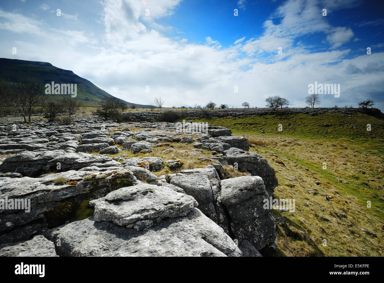 Limestone Pavement Yorkshire Ingleborough Stock Photo - Alamy