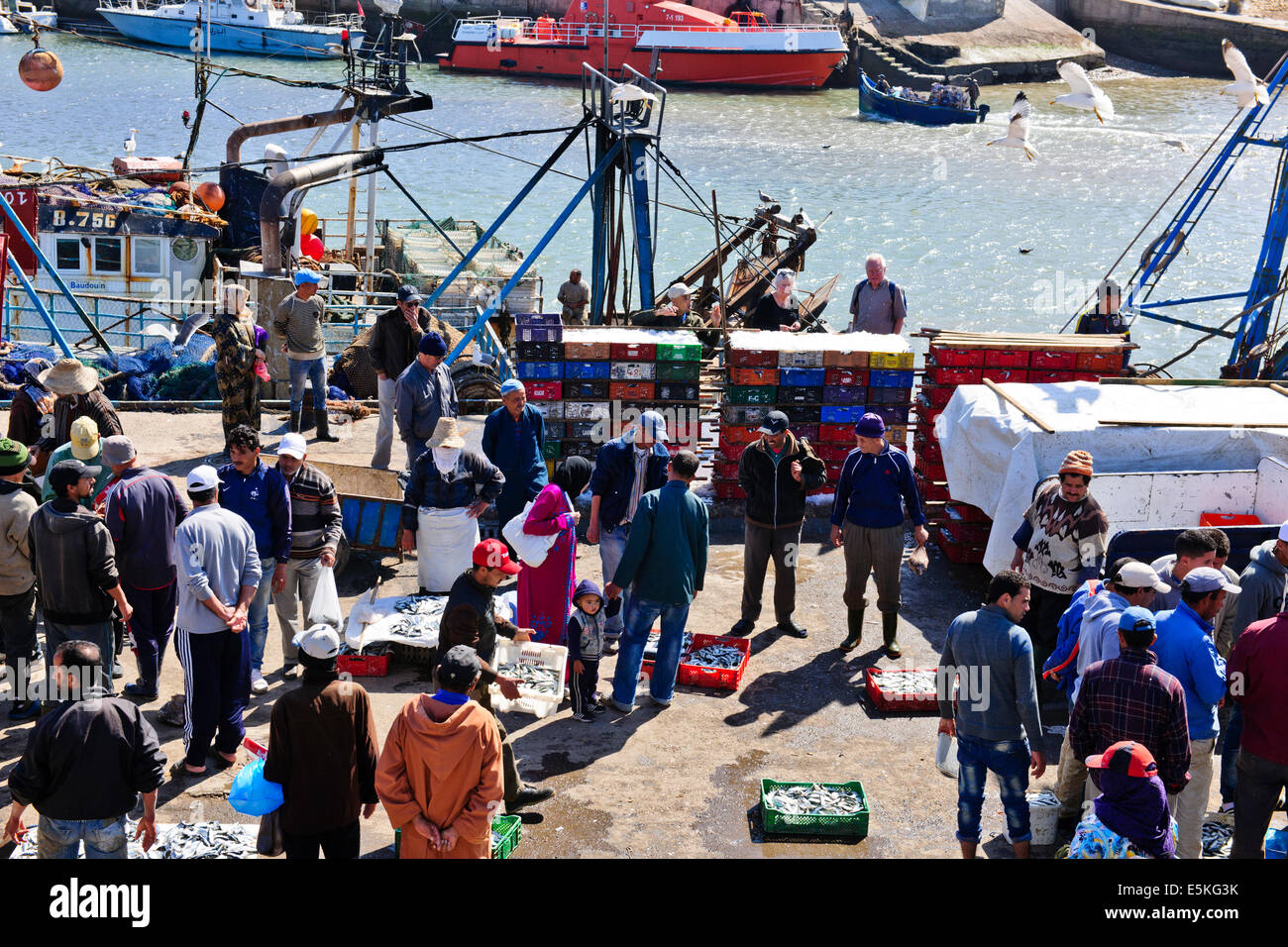 Very Busy Fishing Port,Atlantic Coast,some 250 Species,Fish Caught ...