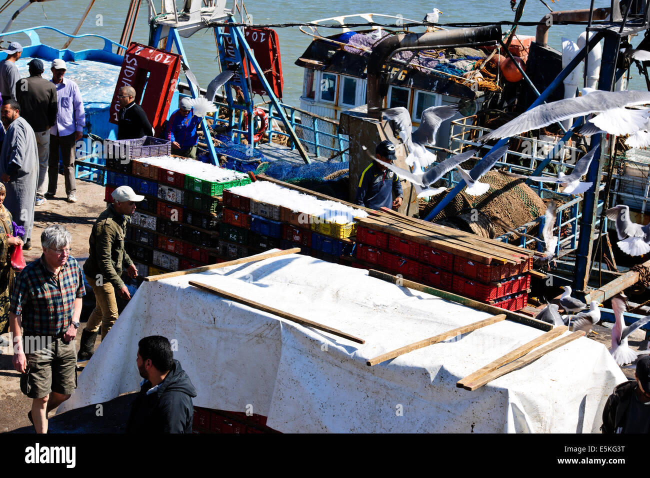 Very Busy Fishing Port,Atlantic Coast,some 250 Species,Fish Caught ...