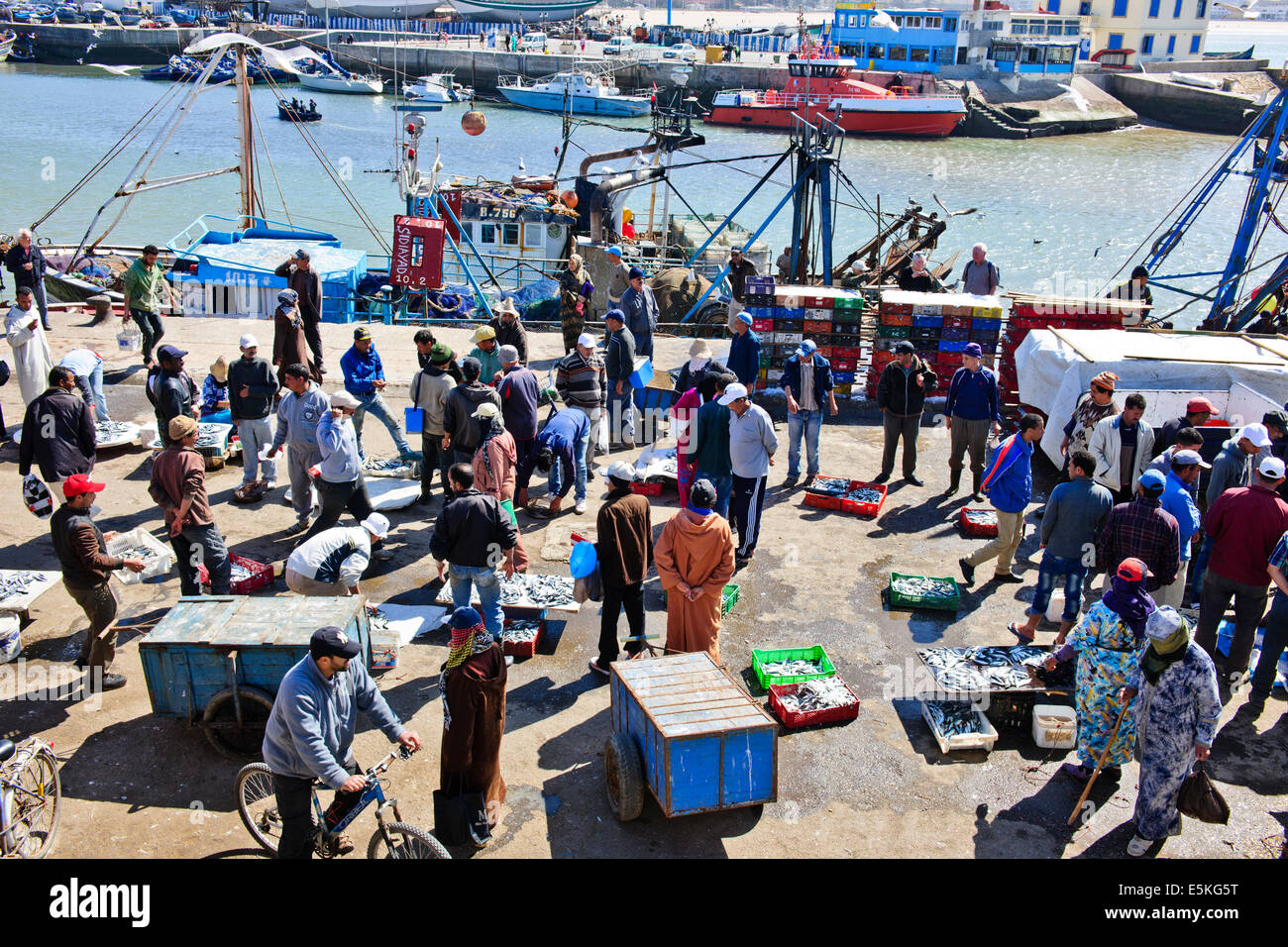 Very Busy Fishing Port,Atlantic Coast,some 250 Species,Fish Caught ...