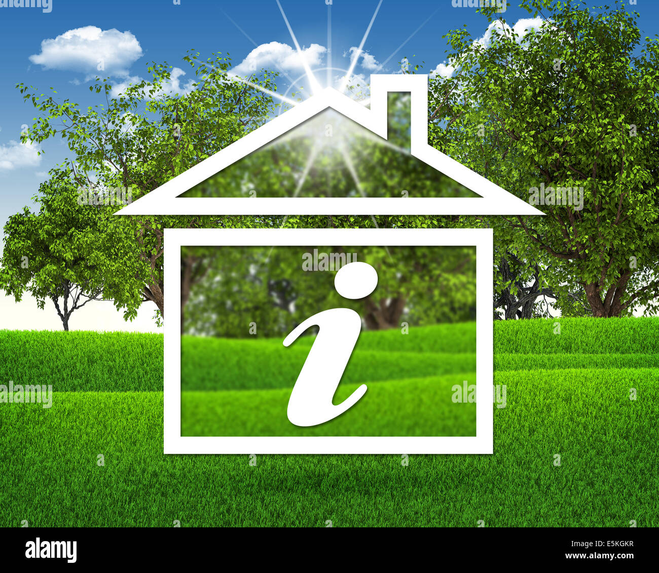 House icon with internet symbol Stock Photo - Alamy