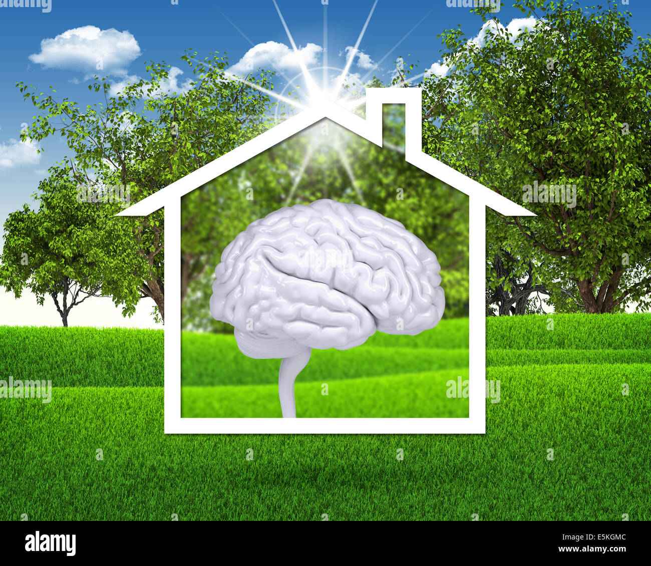 House icon with white brain Stock Photo - Alamy