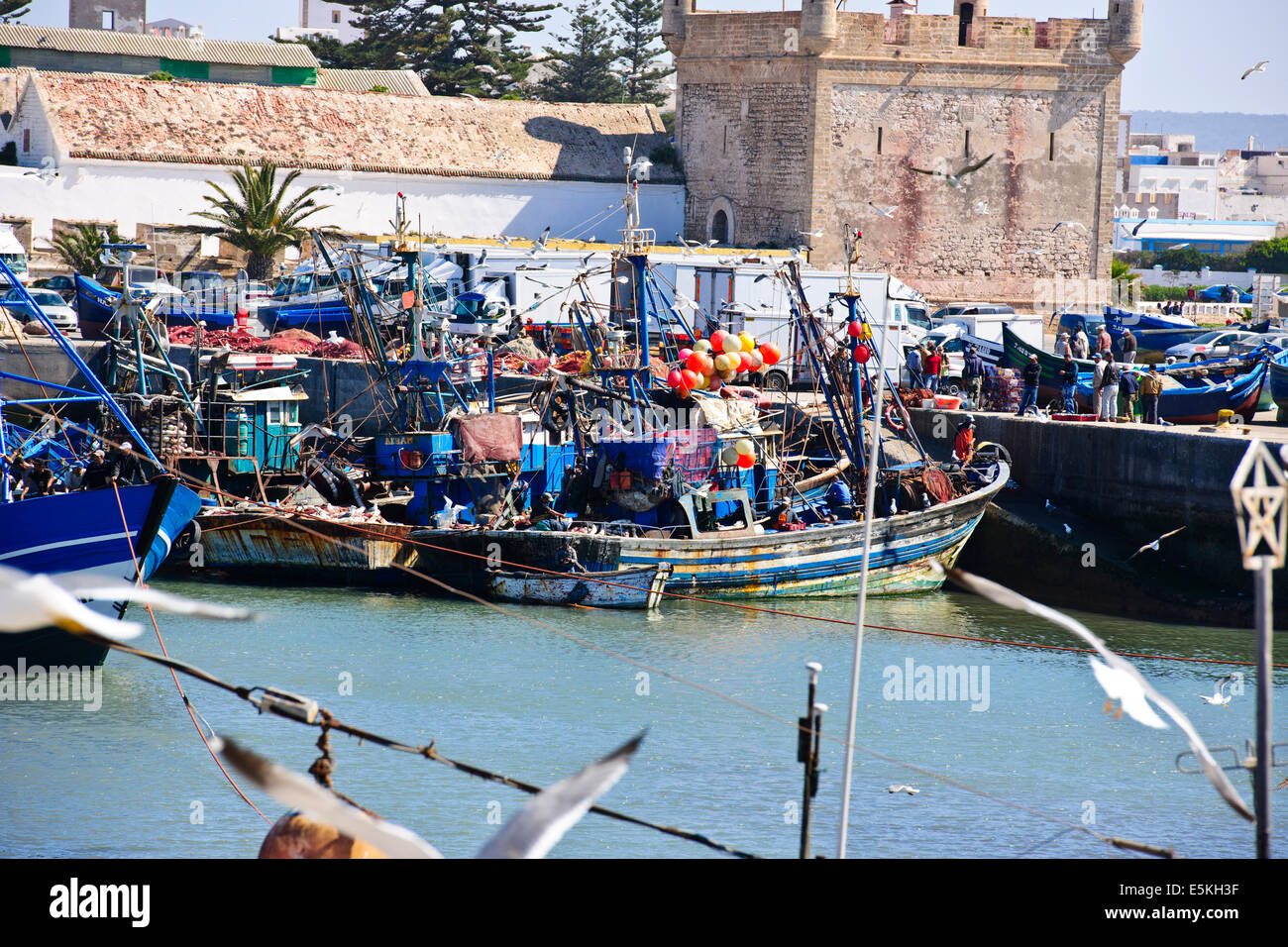 Very Busy Fishing Port,Atlantic Coast,some 250 Species,Fish Caught ...