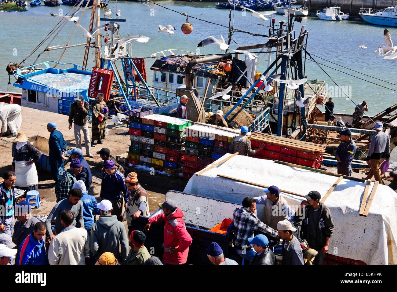 Very Busy Fishing Port,Atlantic Coast,some 250 Species,Fish Caught ...