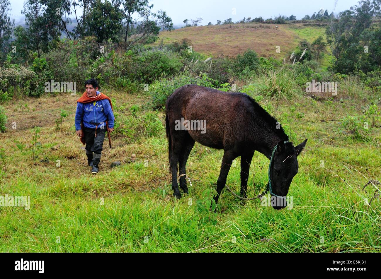 Farmer in Cruzpata - CHACHAPOYAS . Department of Amazonas .PERU Stock ...