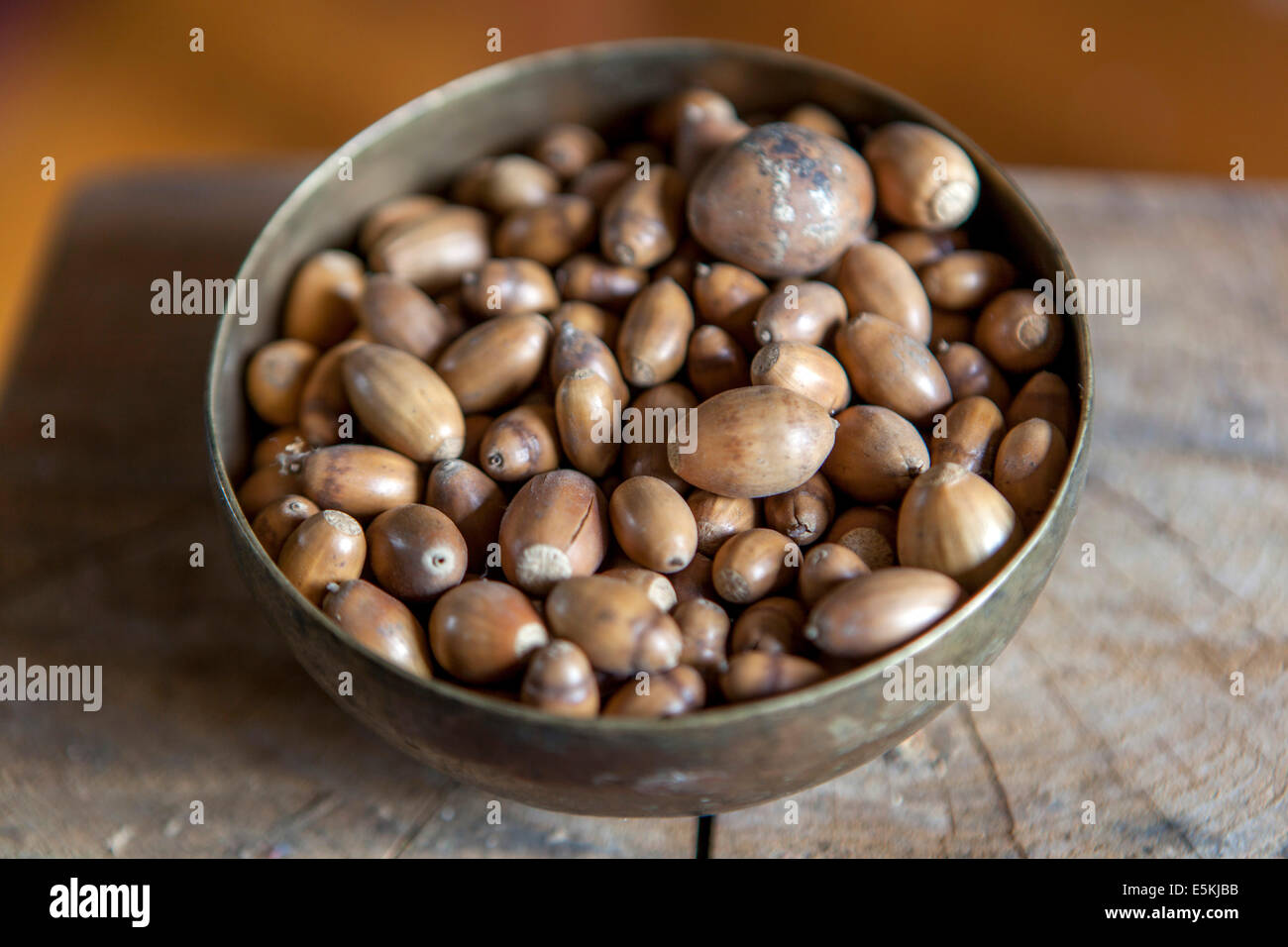 Acorns on a table hi-res stock photography and images - Alamy