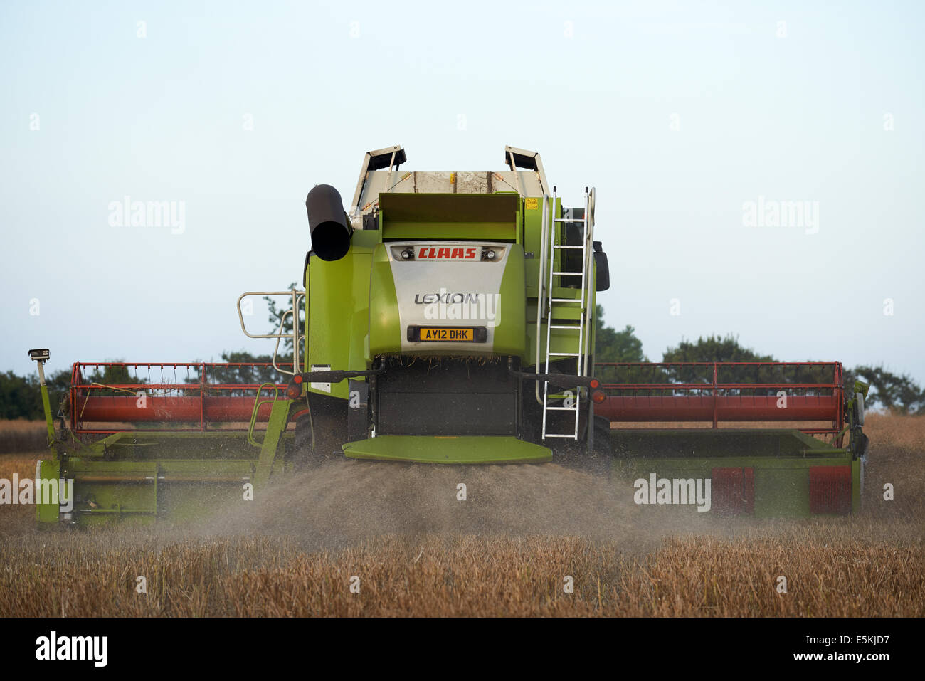 Claas Lexion 740 combine harvester cutting oil seed rape Stock Photo ...