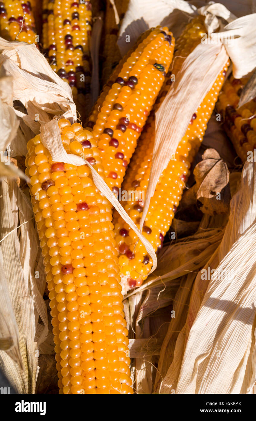 Prince edward county hi-res stock photography and images - Alamy