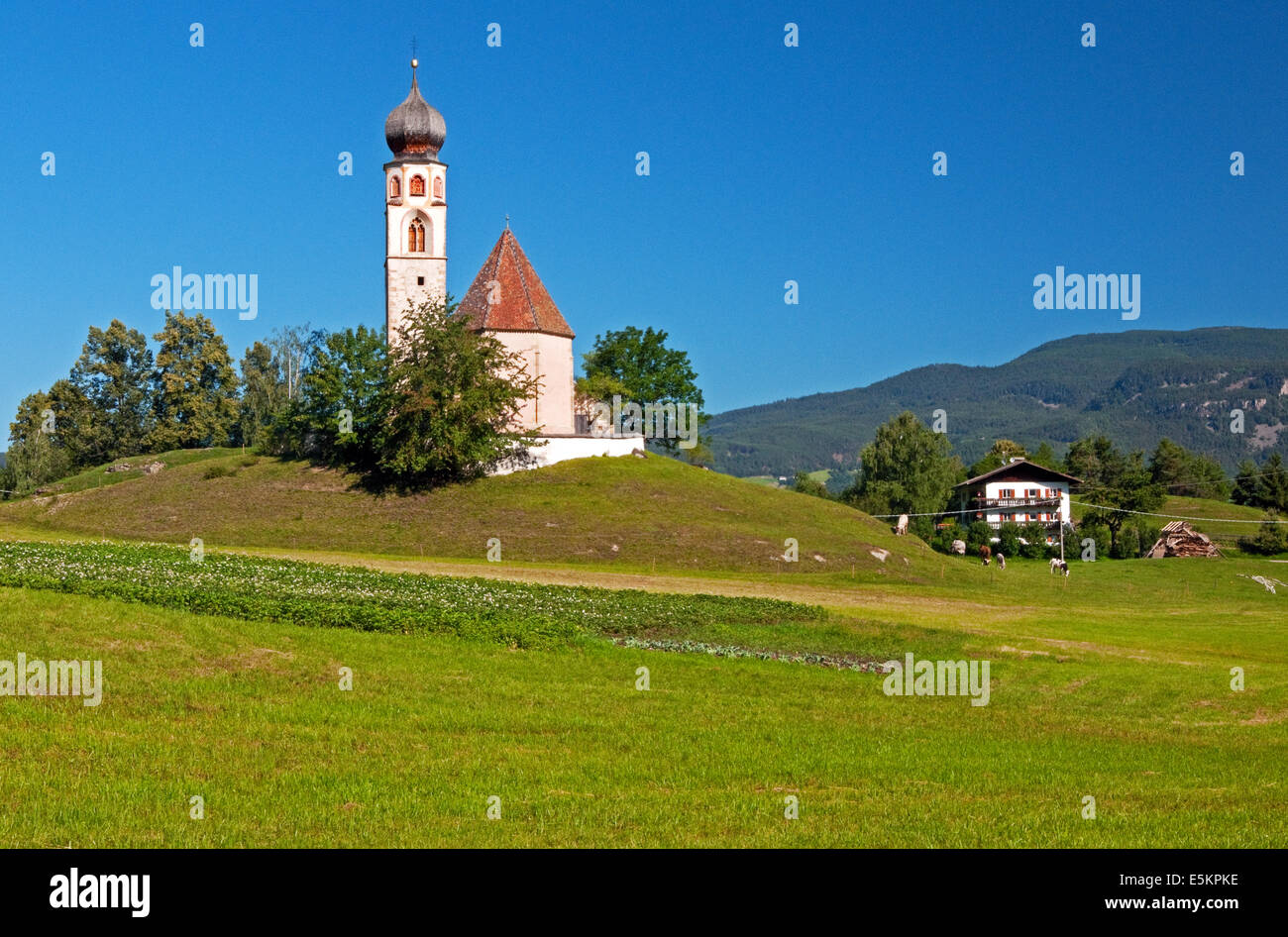 Church, house and mountains of the Alpe di Siusi region of the ...