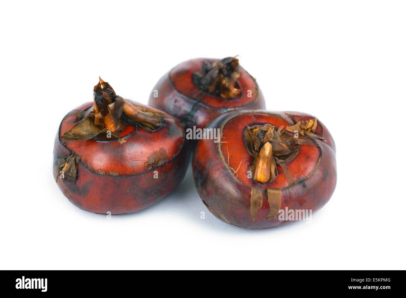 Water chestnuts whole hi-res stock photography and images - Alamy