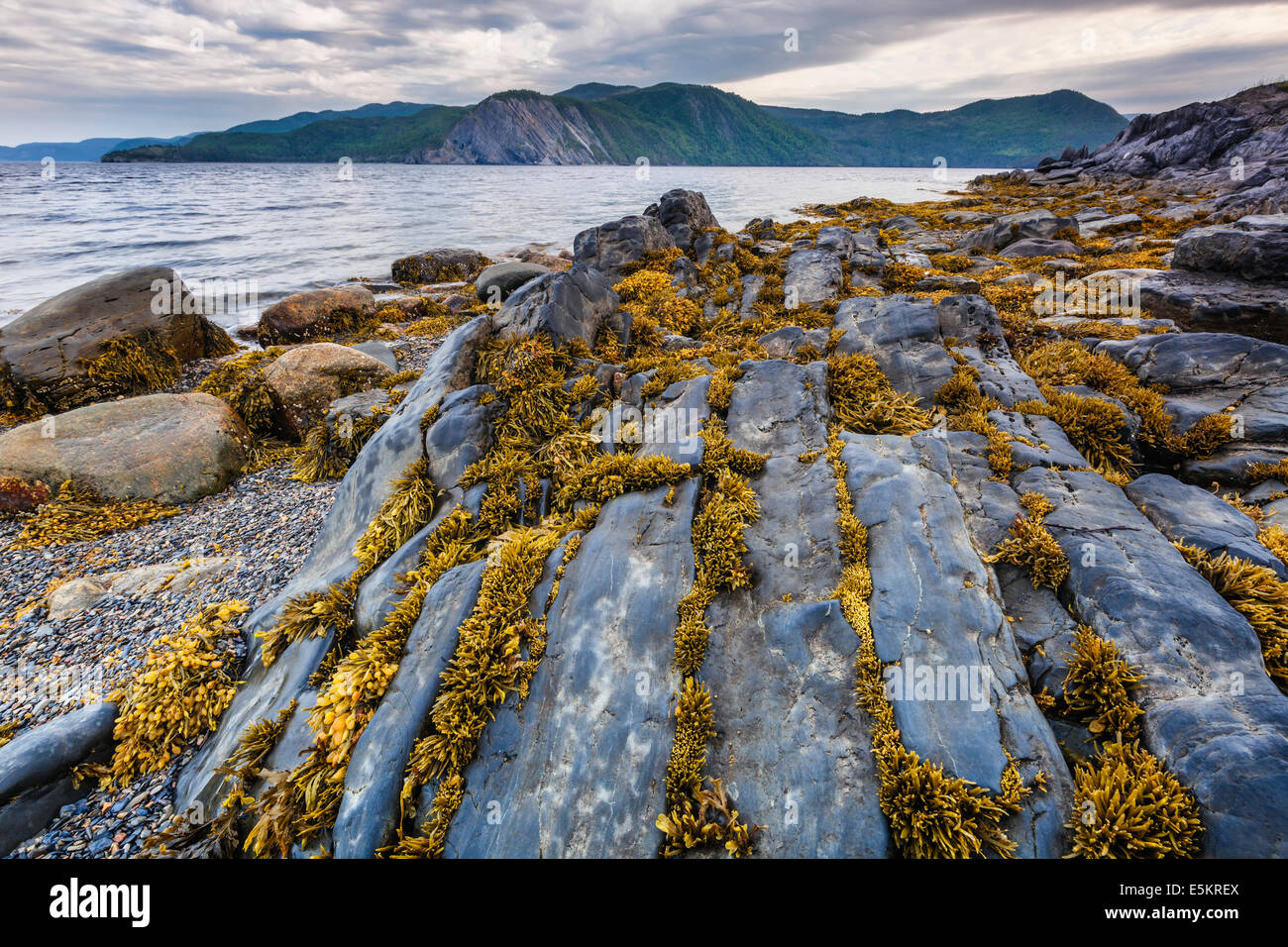 Gros Morne, Newfoundland, Canada Stock Photo - Alamy