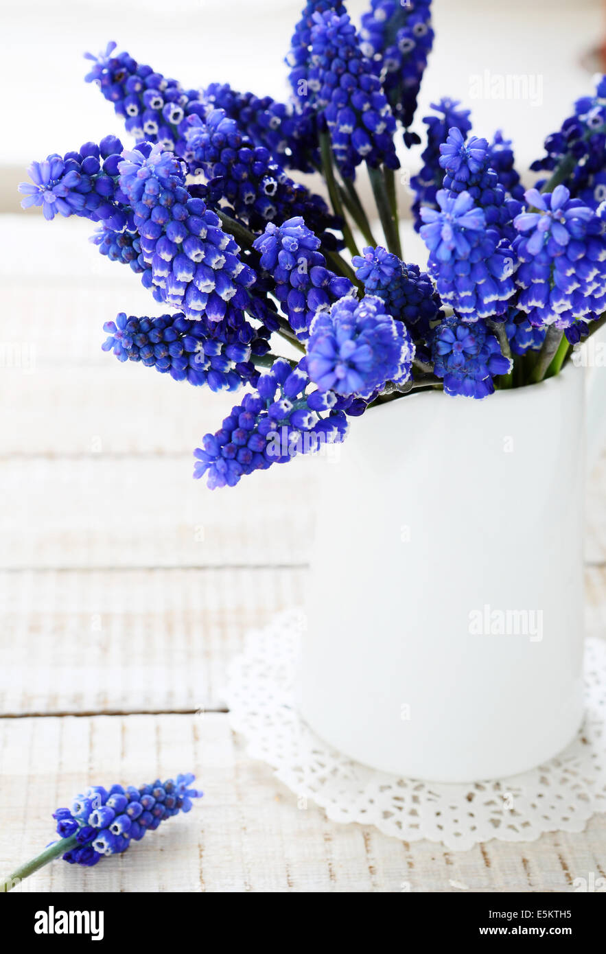 spring flowers in white jug, still life Stock Photo - Alamy