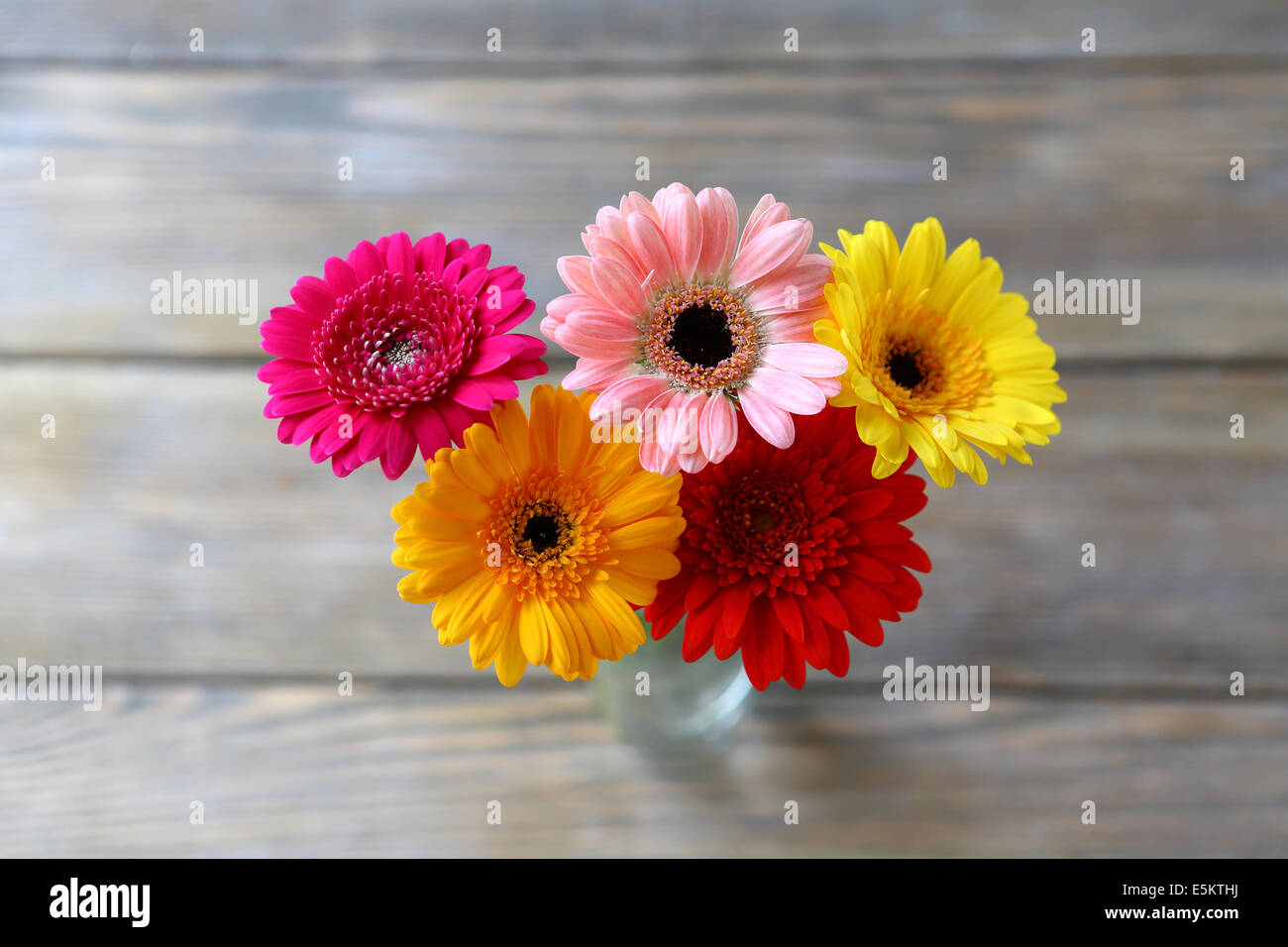 fresh multicolored gerbera, flowers bouquet Stock Photo - Alamy