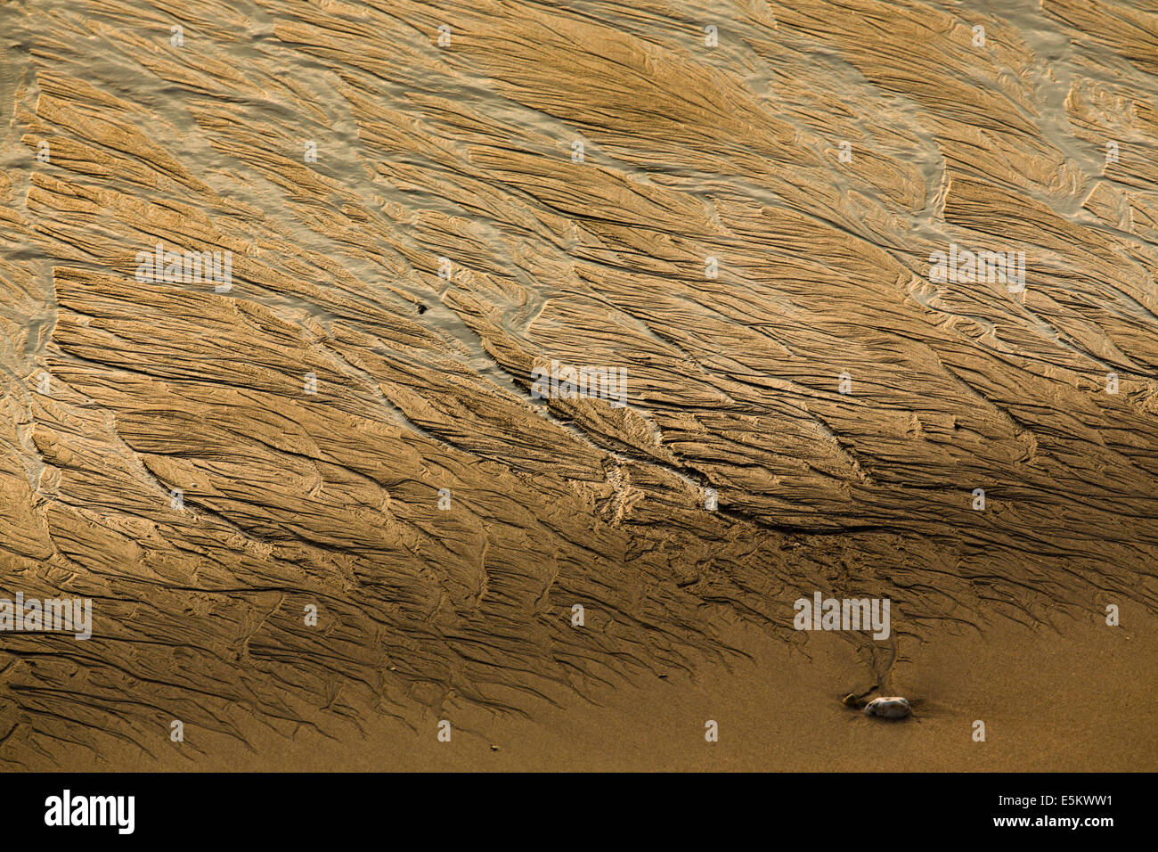 Beach sand patterns hi-res stock photography and images - Alamy