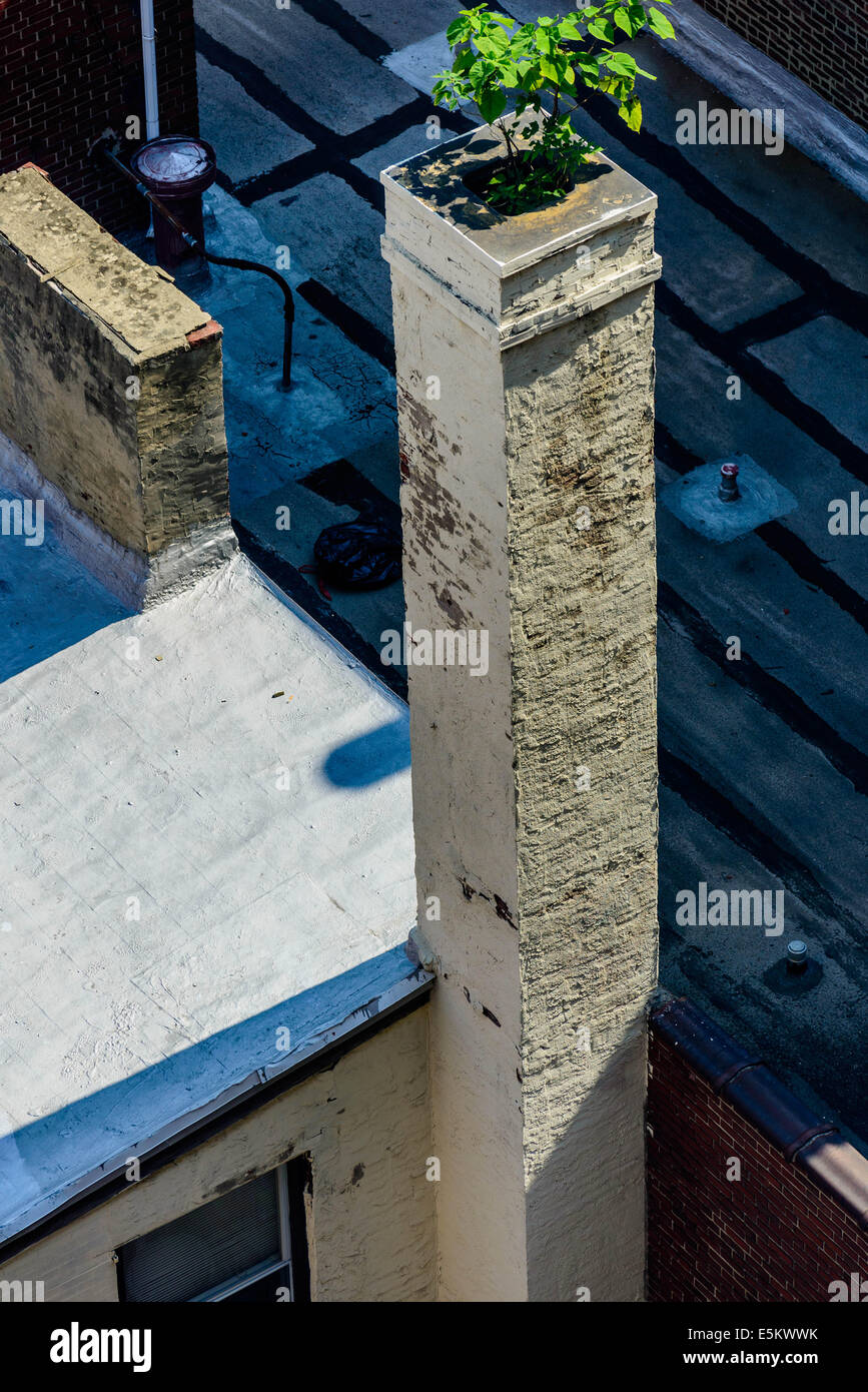 creative uses for rooftops in downtown Philadelphia Stock Photo - Alamy