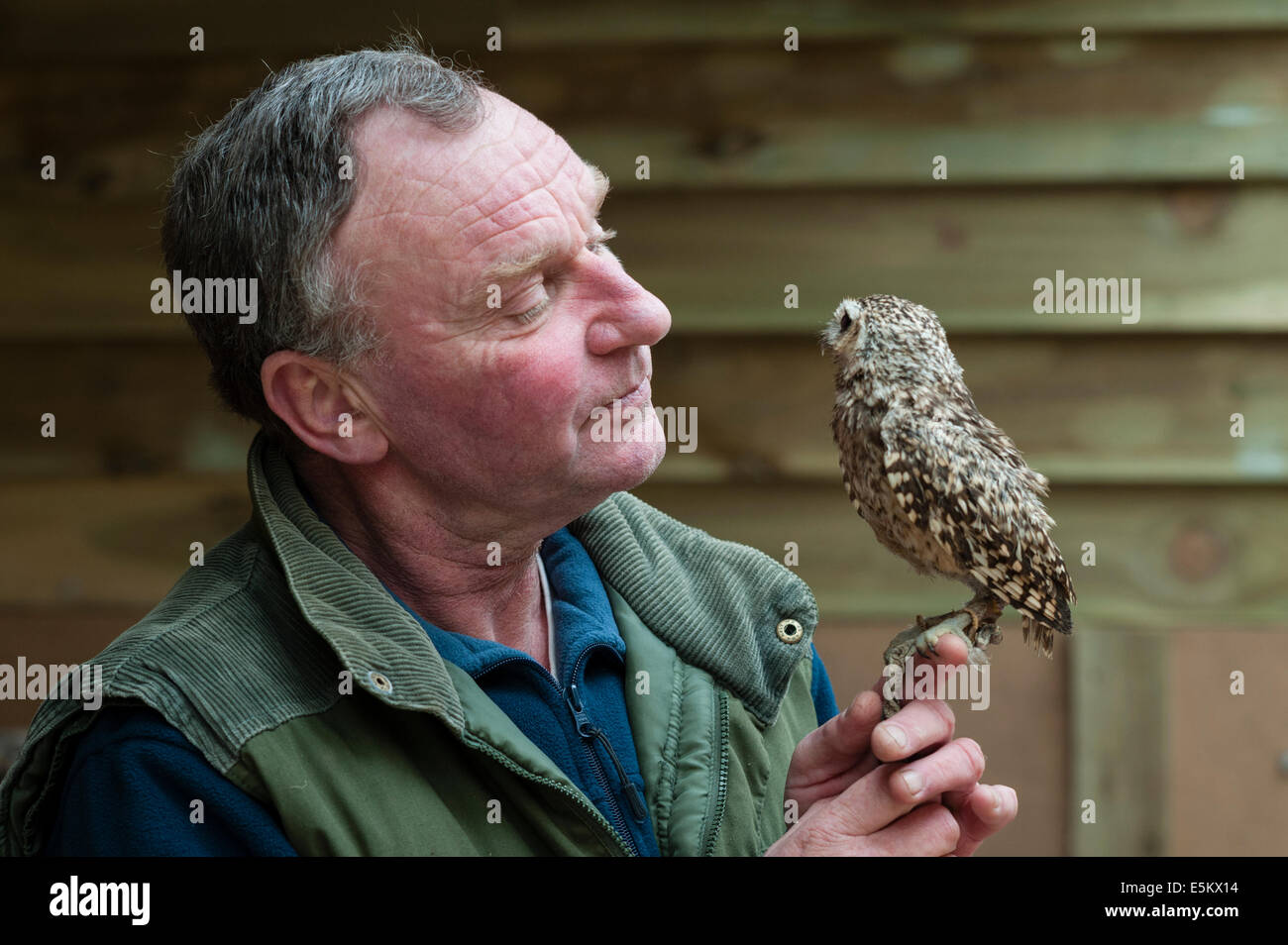 The Small Breeds Farm Park and Owl Centre, Kington, Herefordshire, UK ...