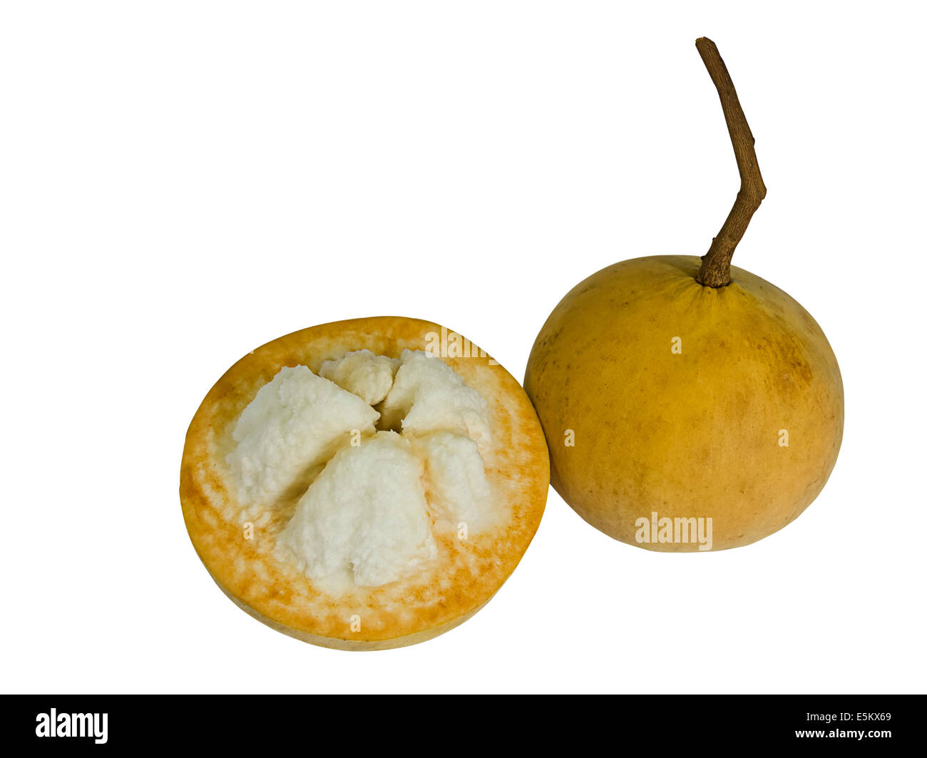 San-to fruit is a tropical fruit in asia area on isolate white black ...