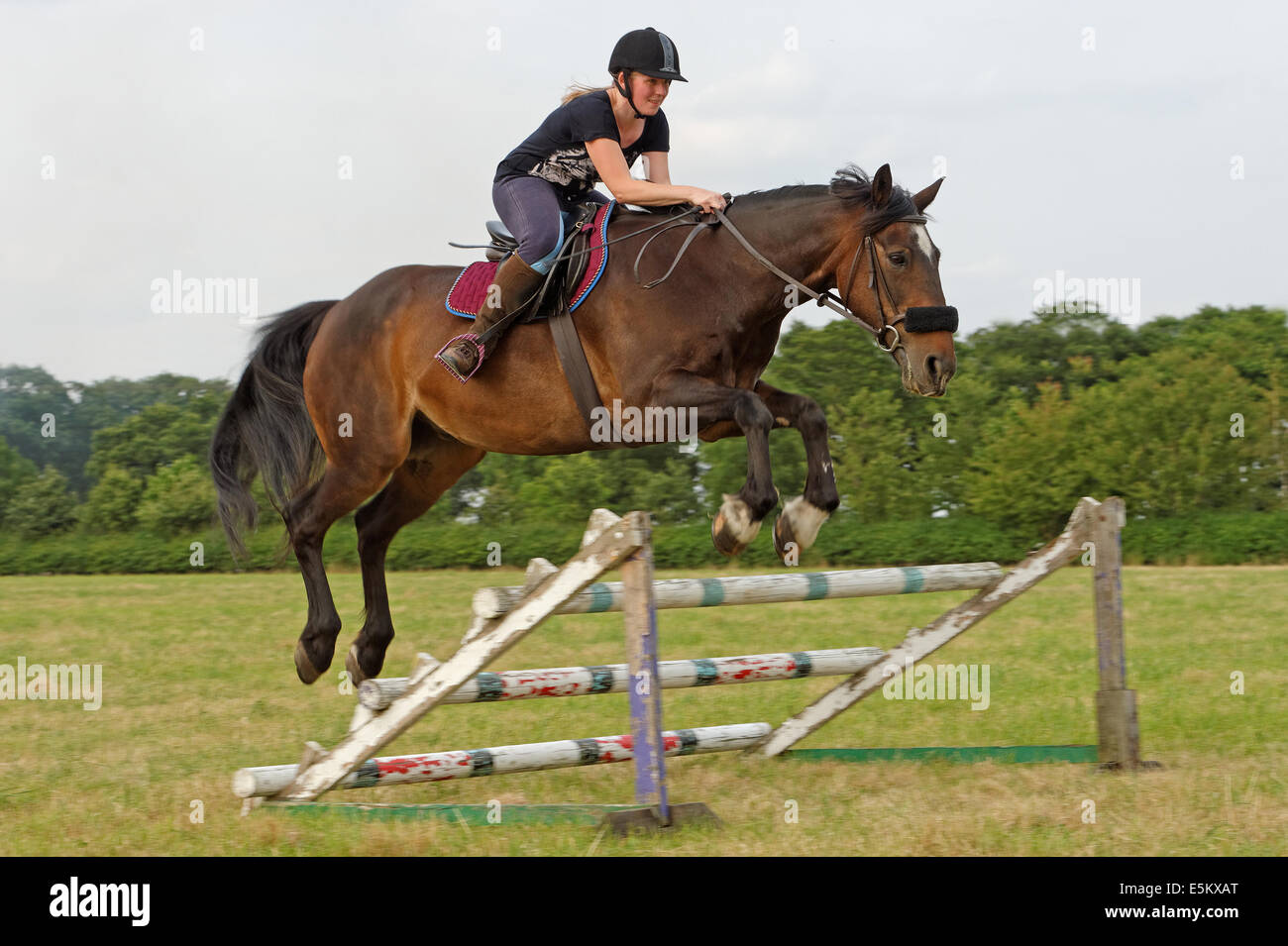 Young horse showjumping hi-res stock photography and images - Alamy