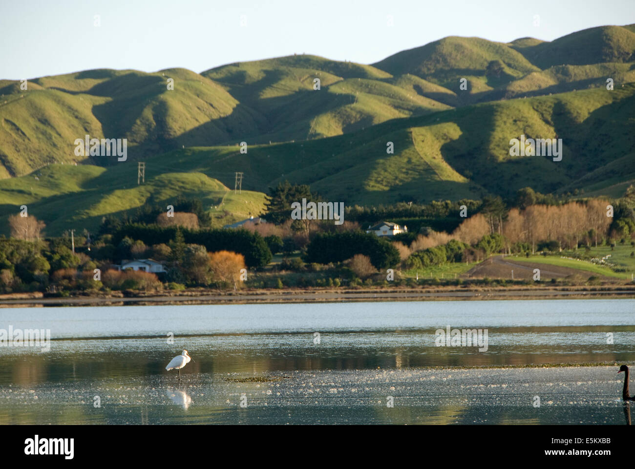 Hills and sea, Pauatahanui Inlet, Porirua, Wellington,North Island, New ...