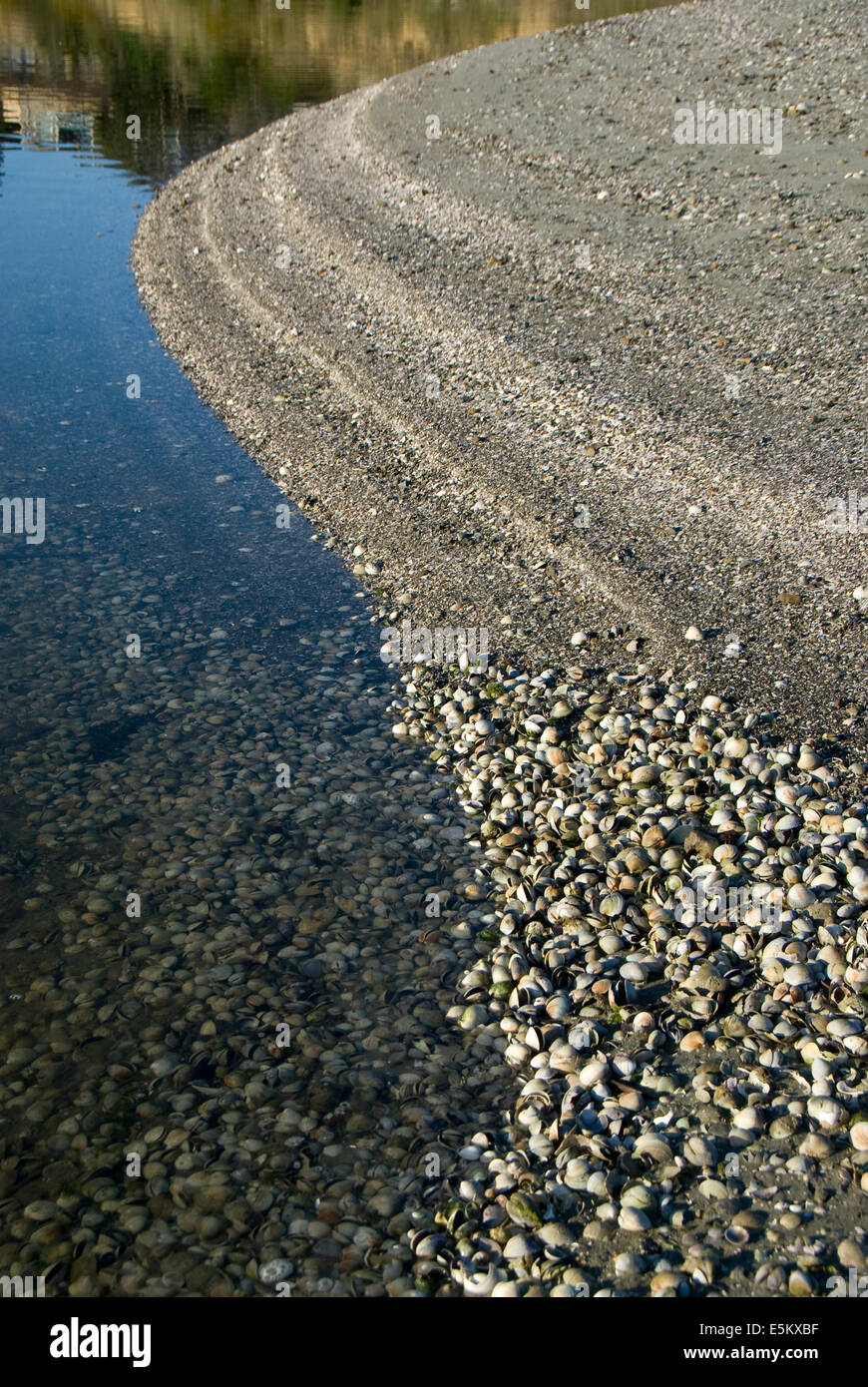 Shell beach, Pauatahanui Inlet, Porirua, Wellington,North Island, New ...