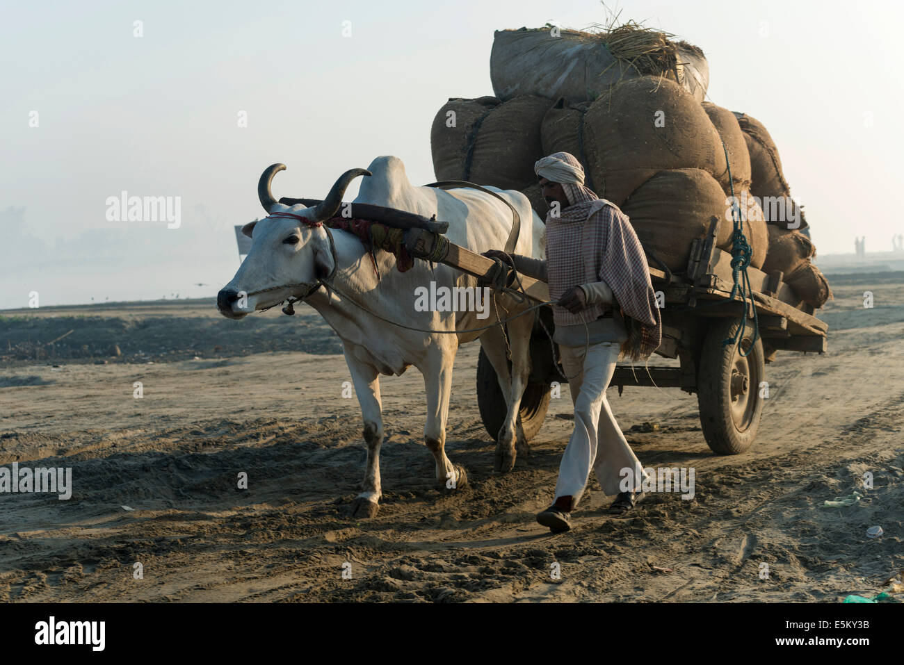 Farmer bullock cart hi-res stock photography and images - Alamy