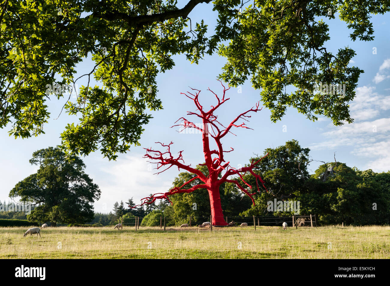 Croft castle herefordshire tree hi-res stock photography and images - Alamy