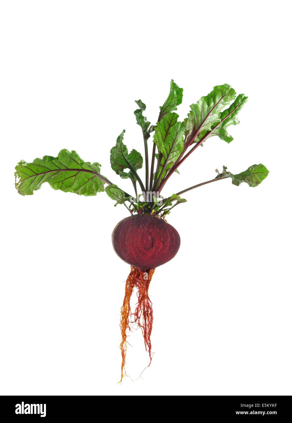 cut red beetroot on white background Stock Photo - Alamy