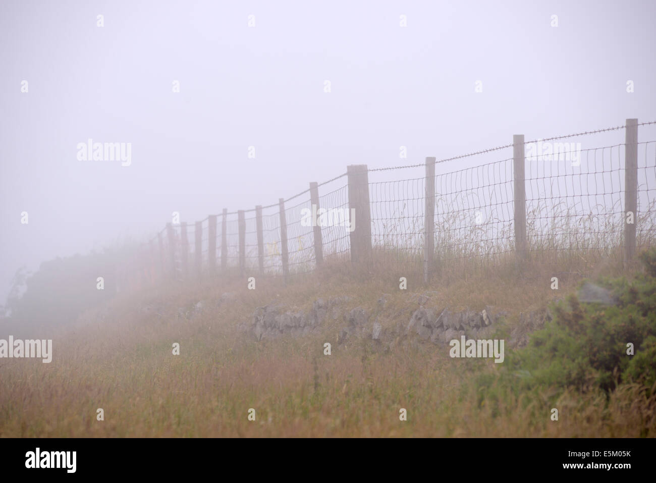 Wire stock fence on top of a traditional clawdd wall in mist, Wales. UK ...