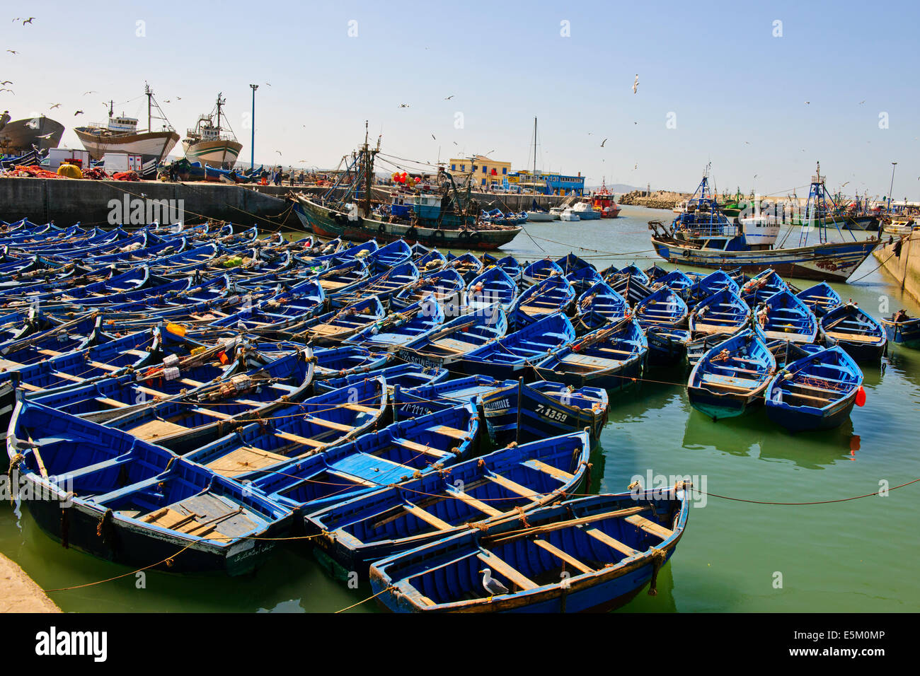 Very Busy Fishing Port,Atlantic Coast,some 250 Species,Fish Caught ...