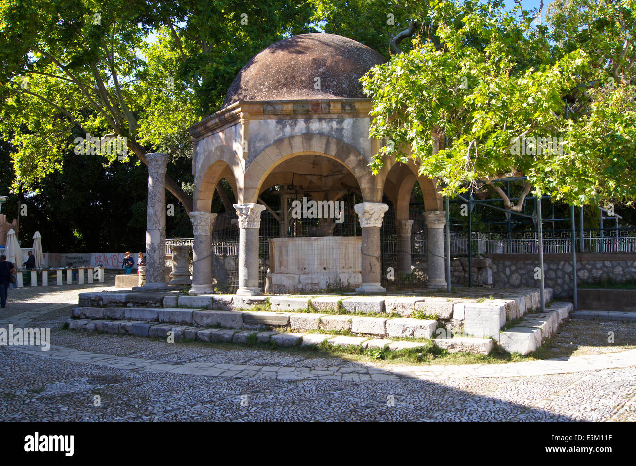 Hippocrates plane tree hi-res stock photography and images - Alamy