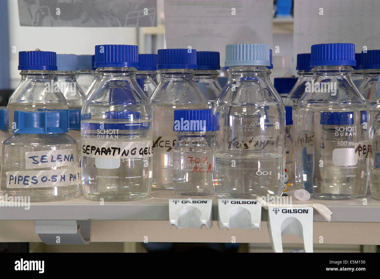 Milan (Italy), IFOM (Institute FIRC of Molecular Oncology), search ...